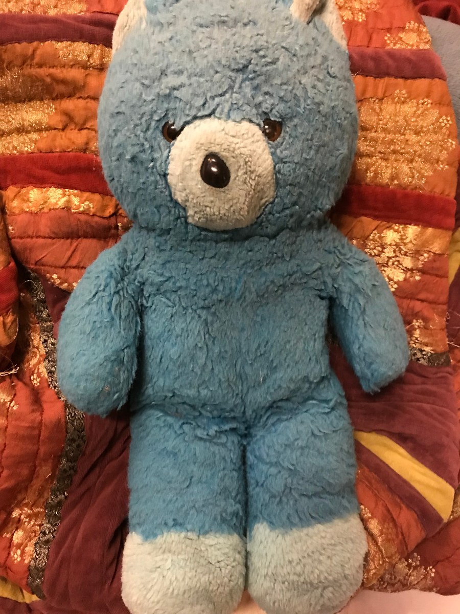 Blueberry – Pirate Ferret.com